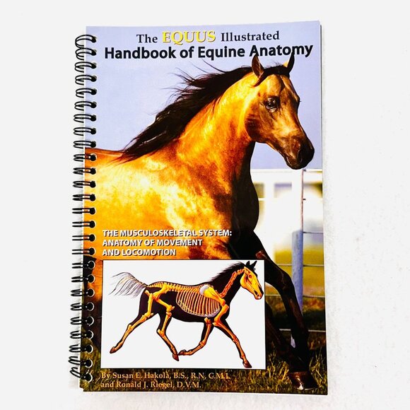 Equus Illus. Handbook of Equine Anatomy | Other | The Equus Illustrated ...
